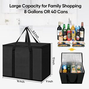 BALEINE 2Pk Insulated Reusable Grocery Bags, Collapsible Cooler Bag for Groceries, Heavy Duty Large Insulated Bag (Large, Charcoal Black)