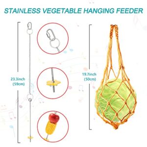 Woiworco 6 Packs Chicken Toys, Chicken Xylophone Toys for Hens, Chicken Pecking Toys and Vegetable Hanging Feeder for Chicken Bird Parrot, Chicken Toys for Coop Chicken Coop Accessories