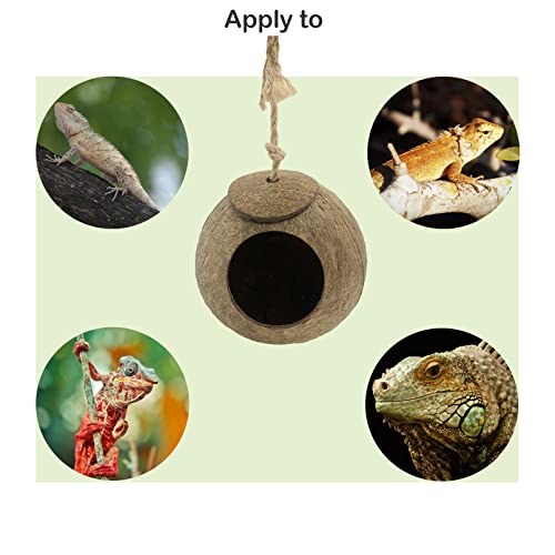 MUYG Crested Gecko Coconut Hut,Leopard Gecko Natural Coco Shell Den Reptiles Habitat Durable Hanging Cave Hideouts Plants Climbing Decoration for Amphibians and Small Animals(4 Pcs)