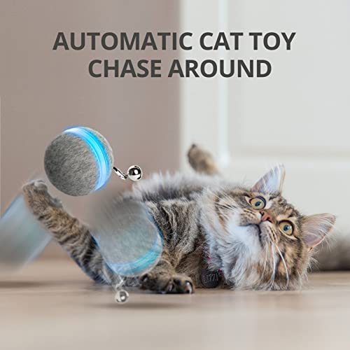 VANLYTPET Cat Automatic Toy : Interactive Cat Toys Ball with Bell Smart Cat Toys for Indoor Cat Kitten, Kitten Moving Bouncing Rolling Ball with Lights