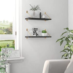 Godimerhea Black Floating Shelves for Wall, Set of 2 Wall Mounted Hanging Wood Shelf with Gold Brackets, Modern Luxury Decor Organizers Storage Shelves for Bathroom, Living Room, Bedroom