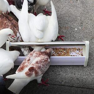 2 Pcs Pigeon Feeder Durable Reinforced Plastic Food Box Feeding Dish Storage Trough for Bird Pigeon Parrot Duck Home Poultry (Length: 15.5")