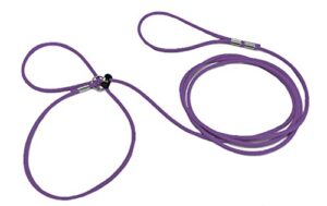 12 foot adjustable mini pig harness and leash also fits other animals, purple