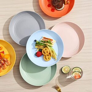 Berglander 9 Inch Plastic Deep Dinner Plates Set of 8 Colors, Reusable and Sturdy Unbreakable Dishes Set for Pasta Bowls,Ramen,Drop Resistant, BPA Free Dinnerware Microwave Safe Dishwasher Safe