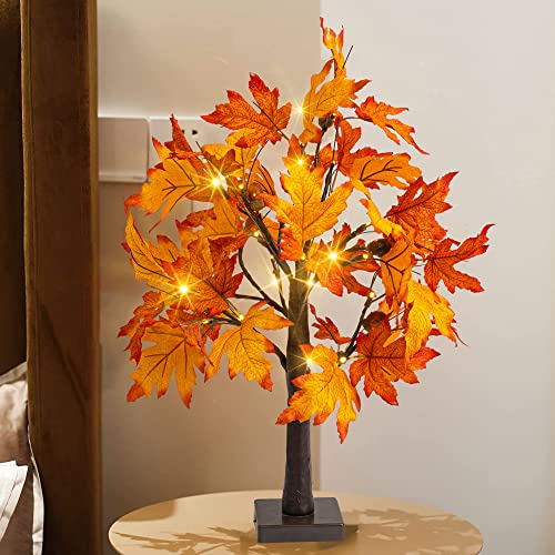 Dazzle Bright 24 Inch Lighted Thanksgiving Fall Maple Tree Decor, 24 LED Battery Operated Decorations Artificial Tree with Timer for Indoor Home Room Holiday Xmas Party