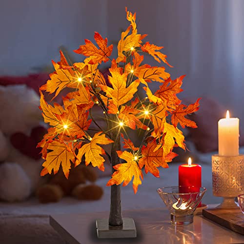 Dazzle Bright 24 Inch Lighted Thanksgiving Fall Maple Tree Decor, 24 LED Battery Operated Decorations Artificial Tree with Timer for Indoor Home Room Holiday Xmas Party