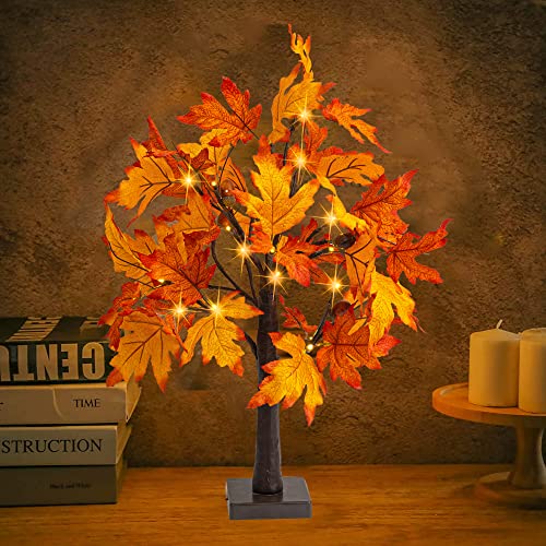 Dazzle Bright 24 Inch Lighted Thanksgiving Fall Maple Tree Decor, 24 LED Battery Operated Decorations Artificial Tree with Timer for Indoor Home Room Holiday Xmas Party