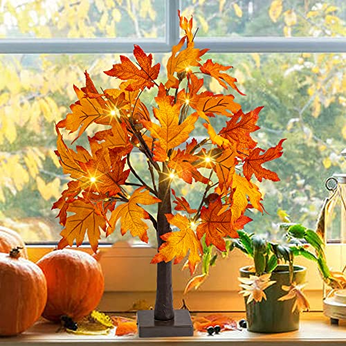 Dazzle Bright 24 Inch Lighted Thanksgiving Fall Maple Tree Decor, 24 LED Battery Operated Decorations Artificial Tree with Timer for Indoor Home Room Holiday Xmas Party