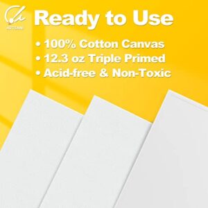 Canvas Panels 12 Pack 8x10 Inch, 100% Cotton 12.3 oz Triple Primed Canvases for Painting, Acid-Free Flat Thin Canvas Blank Art Canvas Boards for Acrylic Oil Watercolor Gouache Painting