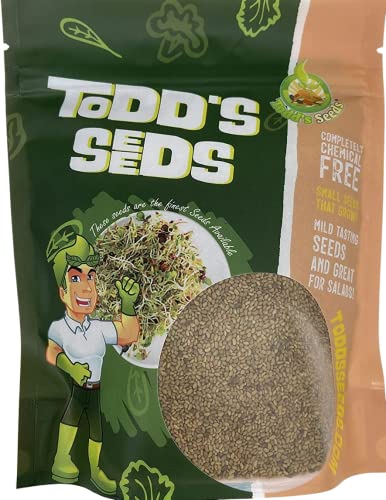 Todd’s Seeds - Alfalfa Sprouting Seeds - Easy to Grow Bulk Alfalfa Seeds - Fast Growing Seeds with High Sprout Germination (1/4 Pound)