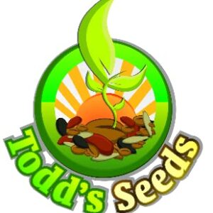 Todd’s Seeds - Alfalfa Sprouting Seeds - Easy to Grow Bulk Alfalfa Seeds - Fast Growing Seeds with High Sprout Germination (1/4 Pound)