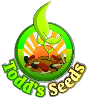 Todd’s Seeds - Alfalfa Sprouting Seeds - Easy to Grow Bulk Alfalfa Seeds - Fast Growing Seeds with High Sprout Germination (1/4 Pound)