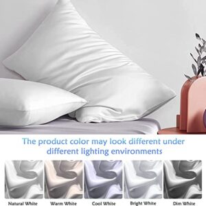 Phencaser Satin Bed Pillowcase, Both Side Silky Soft Standard Size Satin Pillowcases for Hair and Skin, Bed Pillow Covers with Hidden Zipper, Pillow Protector, Pack of 1 Piece (Standard, White)