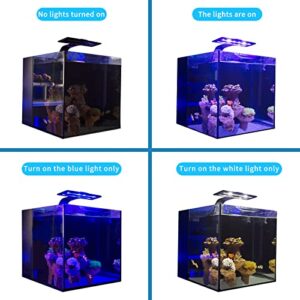 CFPATT Aquarium Square Starter Kit Ultra Clear Glass Rimless Low Iron Fish Tank with Rear Filtration Chamber for Beginners 5 Gallon