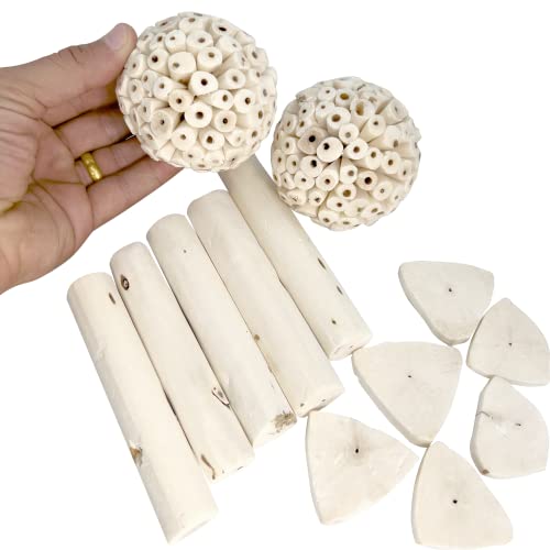 Mandarin Bird Toys 5156 Chunky Sola Platter by M&M - Natural Air Dried Sola Plant Toys, Balls, Sticks, Sola Oyster Slicers, Wonderful Chewing for Beaks, Excellent for Medium Size Pets Lightweight