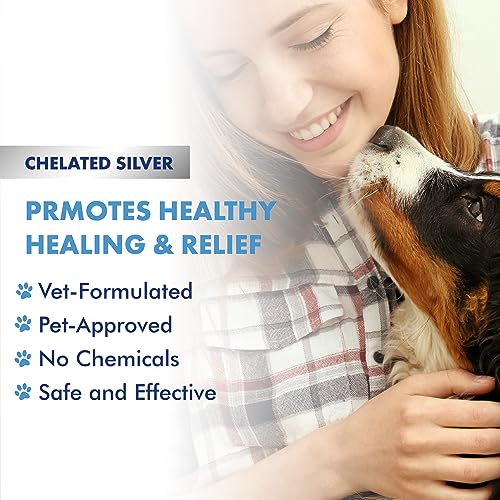 PetSilver Teeth & Gum Water Additive for Dogs & Cats, Eliminate Bad Breath, Natural Pet Dental Care Solution, Targets Tartar & Plaque, No Brushing, Chelated Silver, New Stronger Formula, 12 fl oz