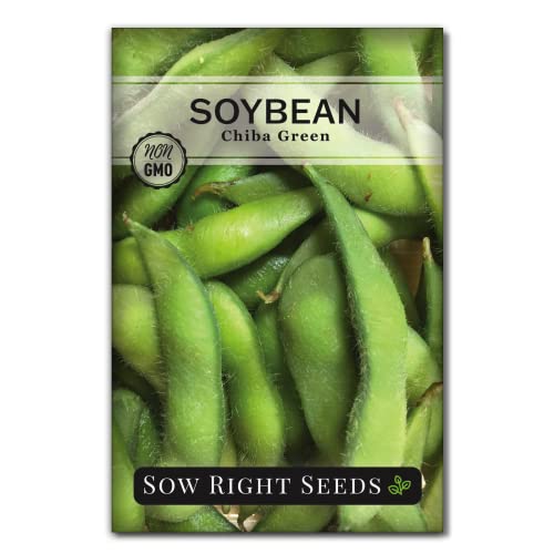 Sow Right Seeds - Chiba Green Soybean Seed for Planting - Non-GMO Heirloom Packet with Instructions to Plant a Home Vegetable Garden - Old Fashioned Bush Soybean Variety - Wonderful Gardening Gift