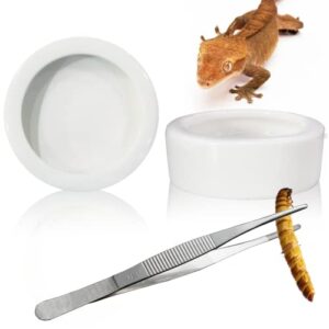 2pcs mini reptile food dish bowls worm water dish feeder lizard gecko ceramic pet bowls with tongs for tortoise lizard bearded dragon frog leopard gecko snake chameleon(small, 1.9 inch)