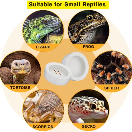 2Pcs Mini Reptile Food Dish Bowls Worm Water Dish Feeder Lizard Gecko Ceramic Pet Bowls with Tongs for Tortoise Lizard Bearded Dragon Frog Leopard Gecko Snake Chameleon(Small, 1.9 Inch)