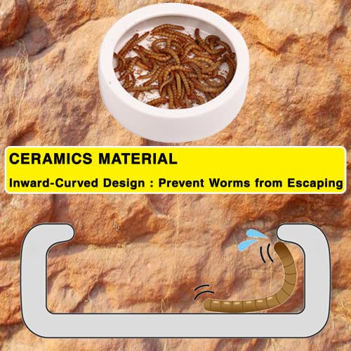 2Pcs Mini Reptile Food Dish Bowls Worm Water Dish Feeder Lizard Gecko Ceramic Pet Bowls with Tongs for Tortoise Lizard Bearded Dragon Frog Leopard Gecko Snake Chameleon(Small, 1.9 Inch)