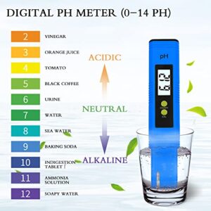 COMUSTER PENPH pH Pen,Digital Water Meter,pH Meter for Hydroponics Digital pH Test Pen 0.01 High Accuracy Pocket Size with 0-14 PH Measurement Range for Home Drinking,Swimming Pools and Aquariums,Blue