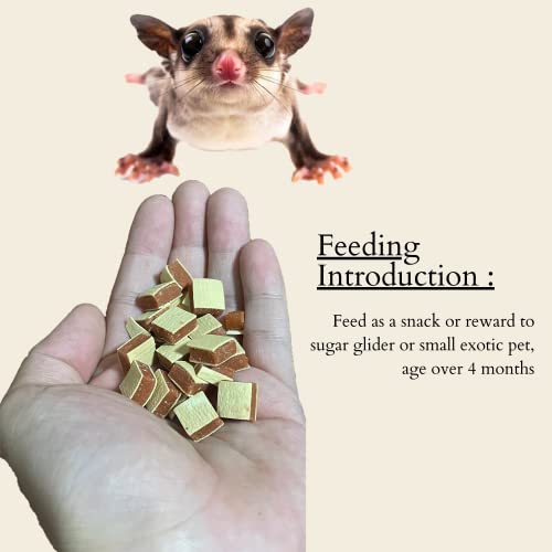 PETIVORE Premium Sushi Steak for Sugar Glider and Small Exotic Pet (Hamster, Squirrel, Chinchillas, Marmoset) Happy Treats, Snacks and Food (30g)