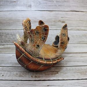 Sea Turtle Bottle Holder Turtle Figurine Natural Color Turtle Wine Bottle Holder