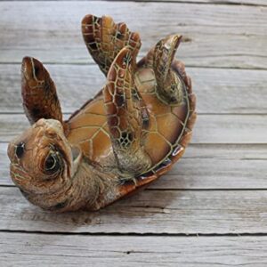 Sea Turtle Bottle Holder Turtle Figurine Natural Color Turtle Wine Bottle Holder