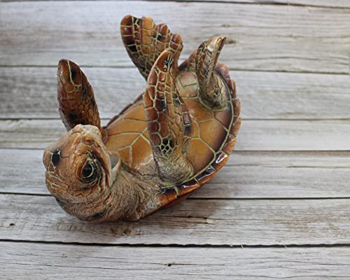 Sea Turtle Bottle Holder Turtle Figurine Natural Color Turtle Wine Bottle Holder