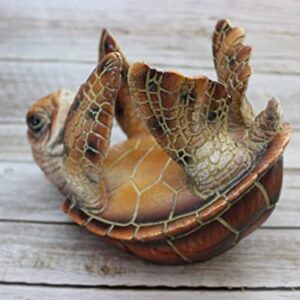 Sea Turtle Bottle Holder Turtle Figurine Natural Color Turtle Wine Bottle Holder