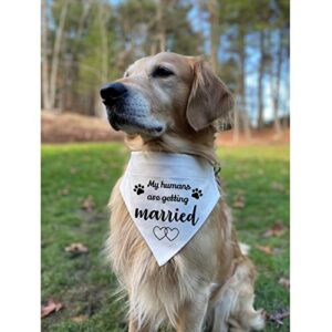 Engagement Gift, My Humans are Getting Married Dog Bandana Collar, Wedding Photo Prop, Pet Scarf, Dog Engagement Announcement, Pet Accessories (Medium, White 1)