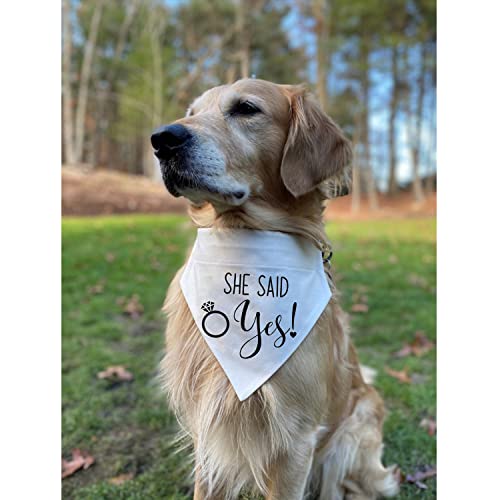 Engagement Gift, My Humans are Getting Married Dog Bandana Collar, Wedding Photo Prop, Pet Scarf, Dog Engagement Announcement, Pet Accessories (Small, Black+White)