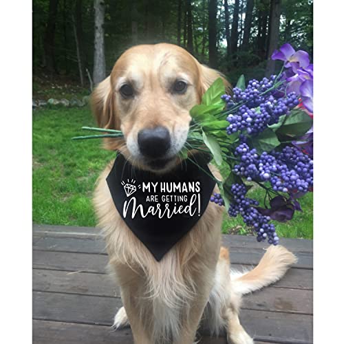 Engagement Gift, My Humans are Getting Married Dog Bandana Collar, Wedding Photo Prop, Pet Scarf, Dog Engagement Announcement, Pet Accessories (Small, Black+White)