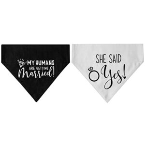 Engagement Gift, My Humans are Getting Married Dog Bandana Collar, Wedding Photo Prop, Pet Scarf, Dog Engagement Announcement, Pet Accessories (Small, Black+White)