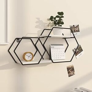 AIJADESK Wall Metal Wall Shelf Geometric Floating Shelves Decorate, Siamese Creative Classic Element Design Hexagon Floating Shelves, for Plant Display, Home Decoration Farmhouse Wall Shelf Exhibit.