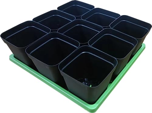 RooTrimmer 10-Pack Microgreen Seed Starter Grow Trays for Seedlings, Shallow Seeding Germination Flats Non Standard 1010 Tray no Holes Plant Sprouter Propogation Tray