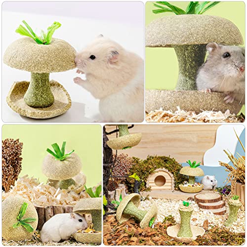 LUOZZY Hamster Chew Toys for Teeth Grinding Chinchilla Teeth Grinding Toys Portable Hamster Treat Chew Toys for Dwarf Hamsters Rat Guinea Pigs