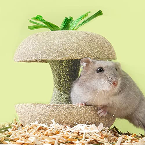 LUOZZY Hamster Chew Toys for Teeth Grinding Chinchilla Teeth Grinding Toys Portable Hamster Treat Chew Toys for Dwarf Hamsters Rat Guinea Pigs