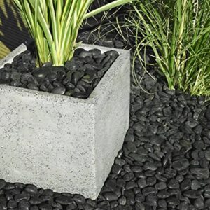 Black River Rocks for Plants 5.5 LB Small Decorative Pebbles 1"-1.5" Polished Stones Smooth Aquarium Gravel for Fish Tank Vases Indoor Planters Outdoor Landscaping Garden (88oz)