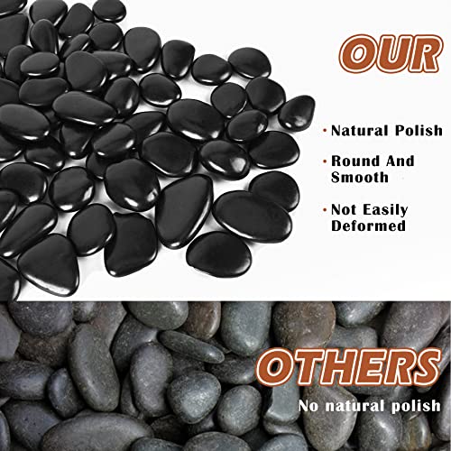 Black River Rocks for Plants 5.5 LB Small Decorative Pebbles 1"-1.5" Polished Stones Smooth Aquarium Gravel for Fish Tank Vases Indoor Planters Outdoor Landscaping Garden (88oz)