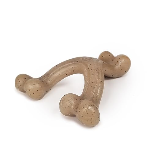 Nylabone Dog, Puppy Gourmet Style Strong Chew Toy Wishbone Peanut Butter Small/Regular (1 Count)