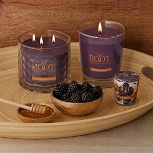 Root Candle Legacy Veriglass Honeycomb Beeswax Blend Premium Handcrafted 3-Wick Scented Candle, 12-Ounce, BlackBerry Honey