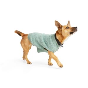 YOULY Sage Fuzzy Dog Sweater, Small