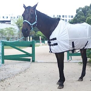 Horse Mesh Fly Sheet Standard Neck Summer Rug 63"