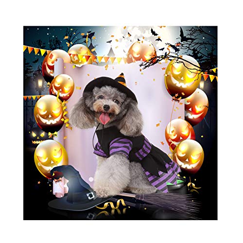 Dog Wizard Costume - Purple Halloween Costumes for Dogs Dog Clothes Elk Bell Wizard Cosplay Costume Halloween Costume Headwear Cosplay Coat Hat for Small and Medium Dogs