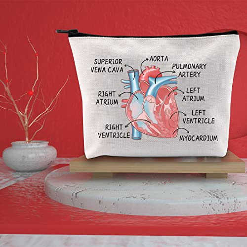 PWHAOO Anatomy Human Heart Cardiologists Doctor Anatomical Medical Cosmetic Bag Nursing Student Gift (AORTA PULMONARY ARTERY B)