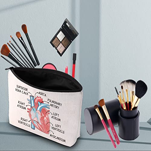 PWHAOO Anatomy Human Heart Cardiologists Doctor Anatomical Medical Cosmetic Bag Nursing Student Gift (AORTA PULMONARY ARTERY B)