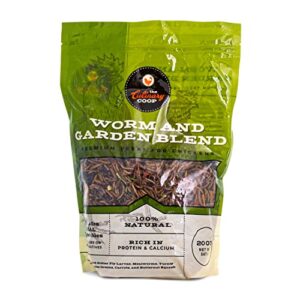 Fluker's Culinary Coop All-Natural Worm and Garden Blend, Premium Treat for Chickens, 20oz