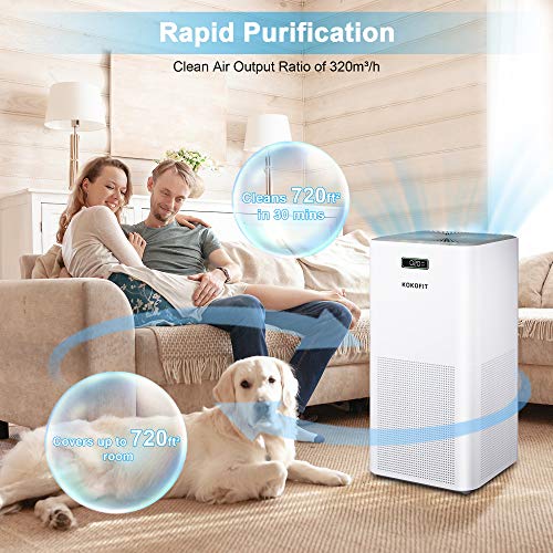 Kokofit Air Purifiers for Home, H13 True HEPA Filter, Allergies Pets Hair Dust Odor Smoke Mold Pollen, 26dB Smart Silent Sleep Mode, White