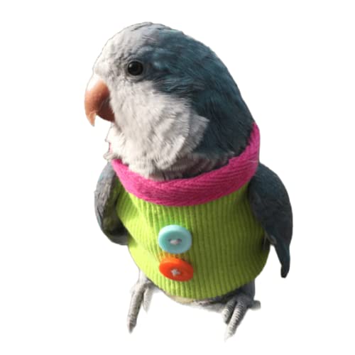 Barn Eleven Parrot Bird Supplies, Light Flying Clothes, Suitable for All Seasons Warm and Comfortable for Small Medium Large Bird Green Cheek Parrot Mynah Senegal Parrot Mini Macaw (Small,Green)